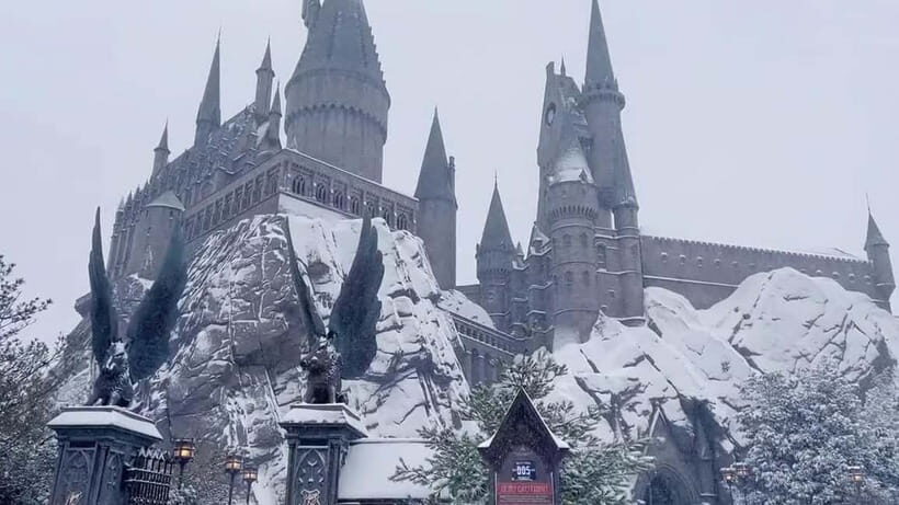 Beijing: Universal Studios Ticket - Practicalities and Tips