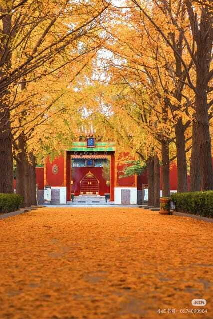 Beijing: Yonghe Lama Temple Tickets with guide (optional) - The Sum Up