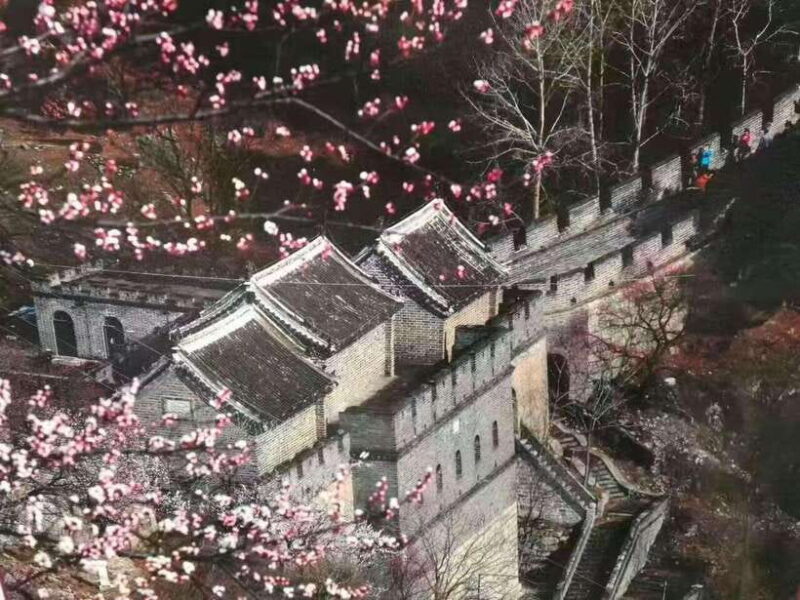 Beijing:Mutianyu Great Wall Private Tour with English Driver - Detailed Breakdown of the Itinerary