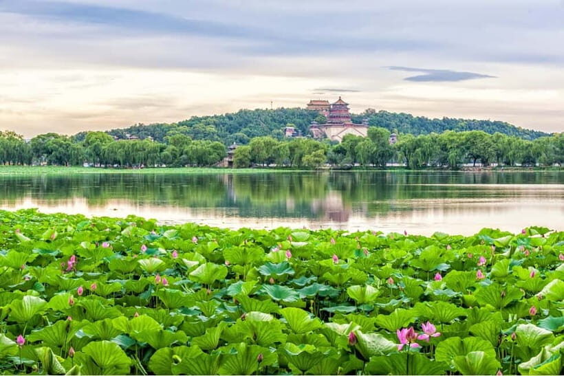 BeijingSummer Palace & Tea or Calligraphy Experience Tour - Final Thoughts