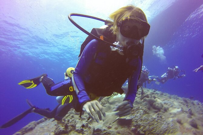 Belek Scuba Diving Experience (2 Dives) With Lunch - Who Will Love This Tour?