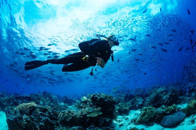 Belek: Scuba Diving in the Mediterranean Sea - FAQs