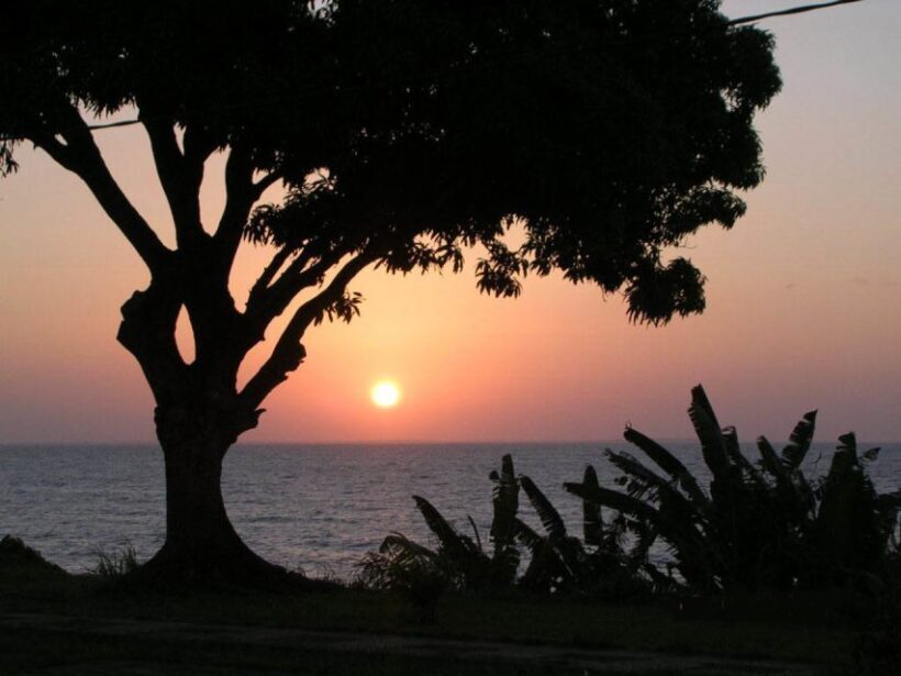 Belém: Ilha do Mosqueiro River Beach Trip - Final Thoughts