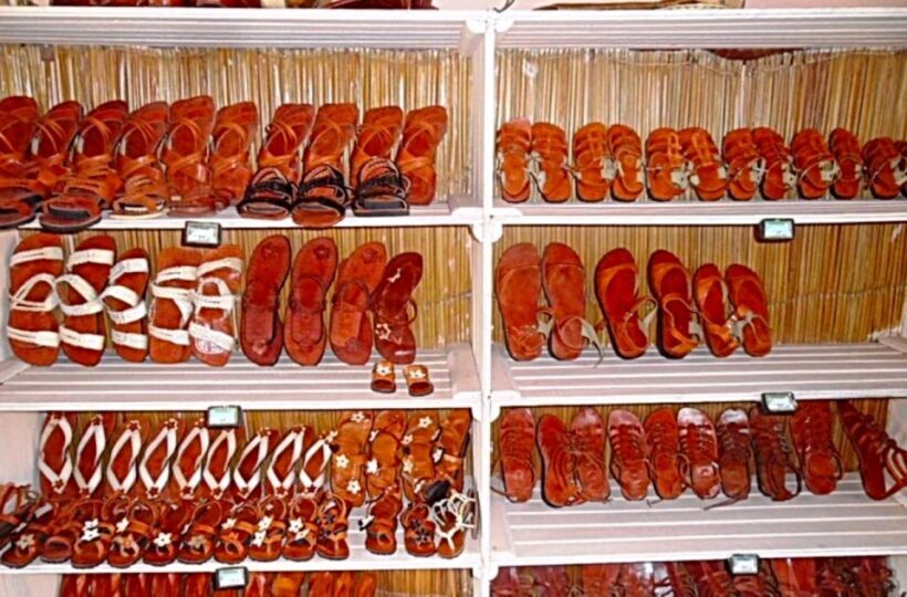 Belém: Marajó Island Day Trip with Buffalo Farm Visit - Pricing and Value