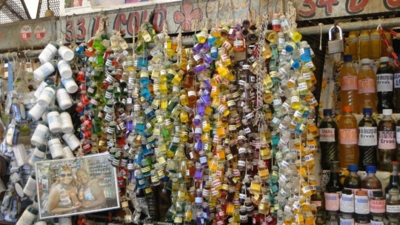 Belém: Ver-o-Peso Market and Full-Day City Tour with Lunch - Final Thoughts