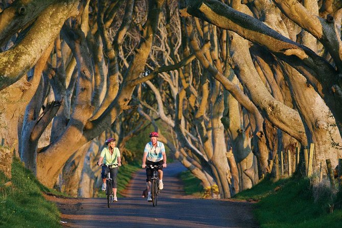 Belfast - Giants Causeway , Dunluce Castle and Dark Hedges - Customer Feedback and Experiences