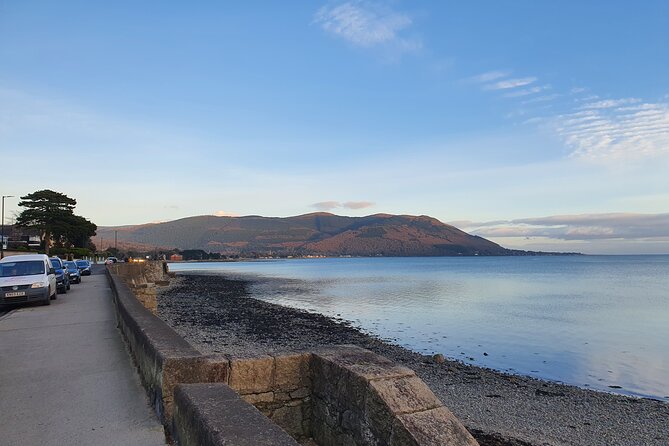 Belfast to Dublin Airport Private Transport up to 8 passengers - Meeting Points and Flexibility