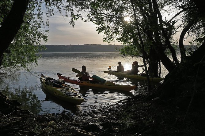 Belgrade War Island Kayak Tour - Tour Highlights