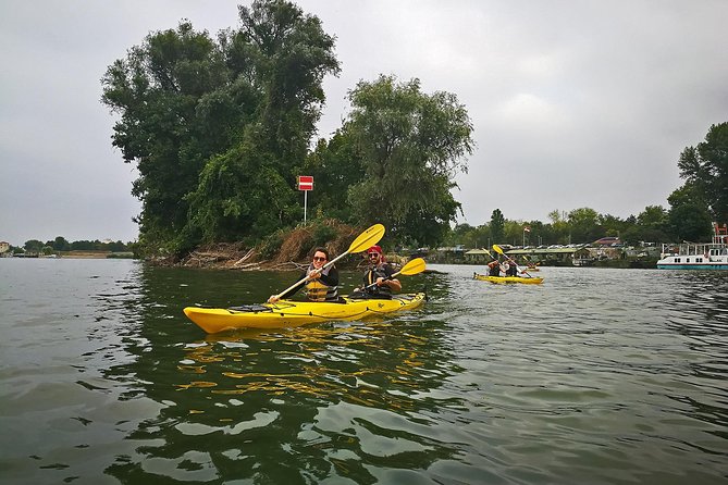 Belgrade War Island Kayak Tour - Meeting and Logistics