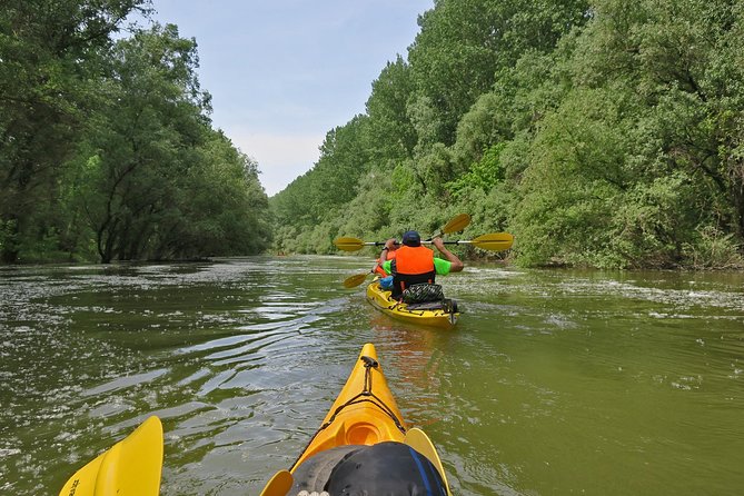 Belgrade War Island Kayak Tour - Wildlife Spotting