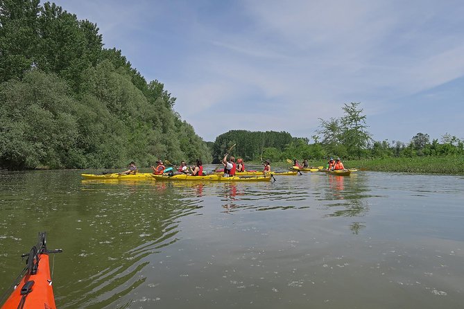 Belgrade War Island Kayak Tour - Exploring the Veliki Galijaš Canal-Lake