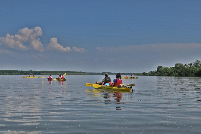 Belgrade War Island Kayak Tour - Feedback From Travelers