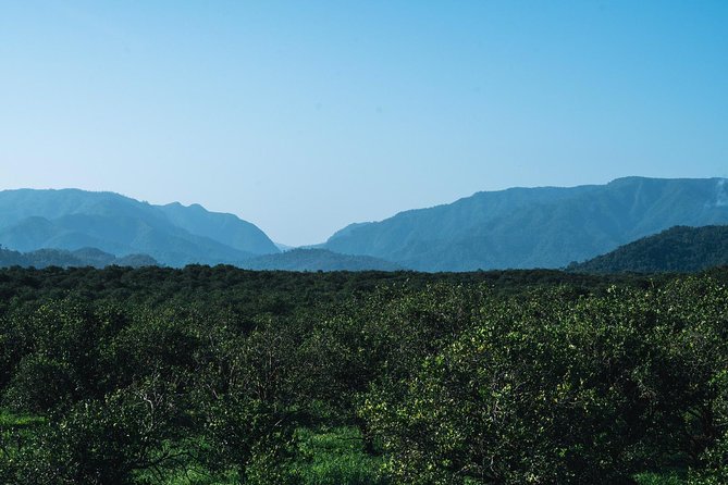 Belize International Airport To Hopkins Village ( Private Shuttle ) - Frequently Asked Questions