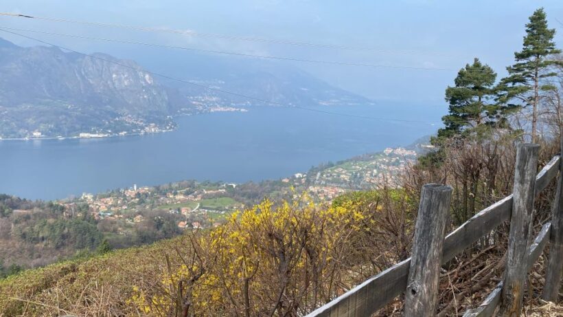 Bellagio: Exclusive picnic at the agrofarm with scenic view - The Itinerary in Detail