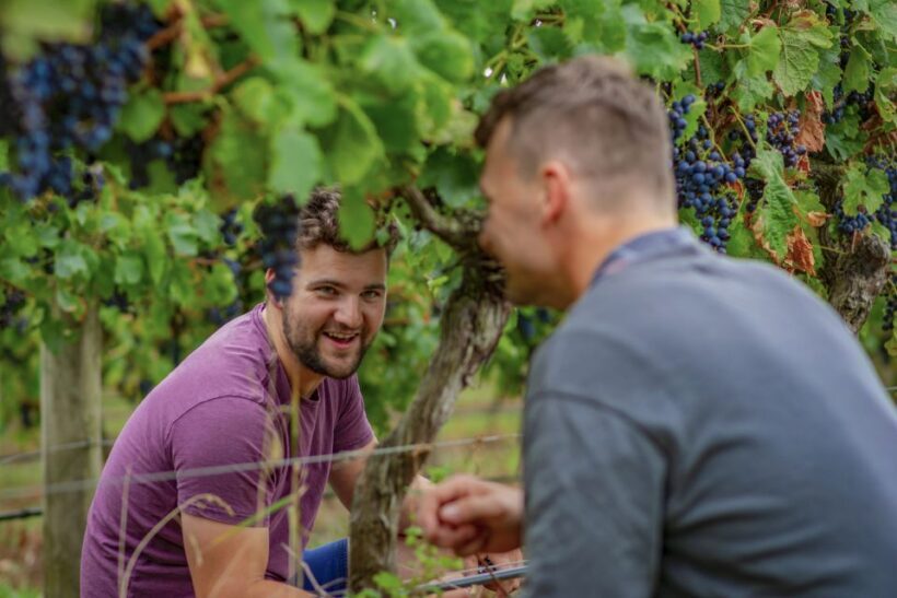 Bellarine Winery: Texas BBQ Platter Lunch with Wine - Final Thoughts
