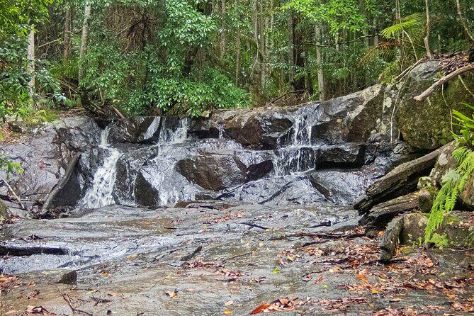 Bellthorpe Rainforest Private Tour - Frequently Asked Questions