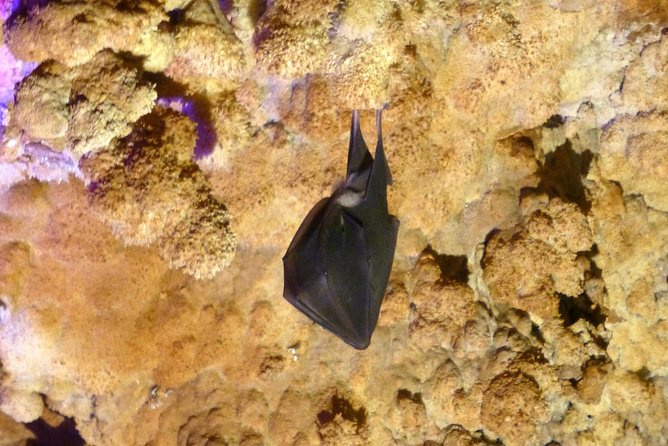 Belogradchik Rocks & Venetsa Cave/Small Group Bigger Experience - Getting to the Meeting Point