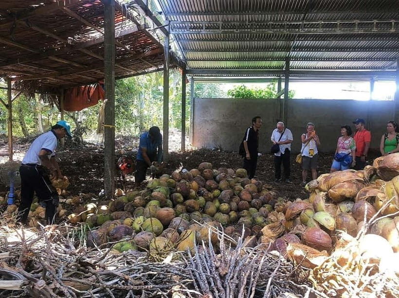Ben Tre: visit Mekong delta region - Exploring the Mekong Delta from Ben Tre: An In-Depth Look