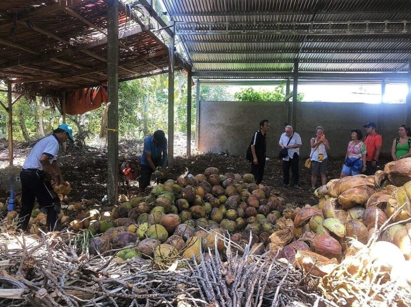 Ben Tre: visit Mekong delta region - The Practical Side: Value and Considerations