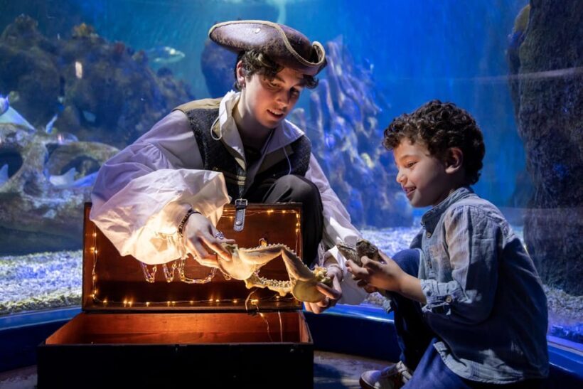 Benalmadena Aquarium Visit - Final Thoughts: Is It Worth It?