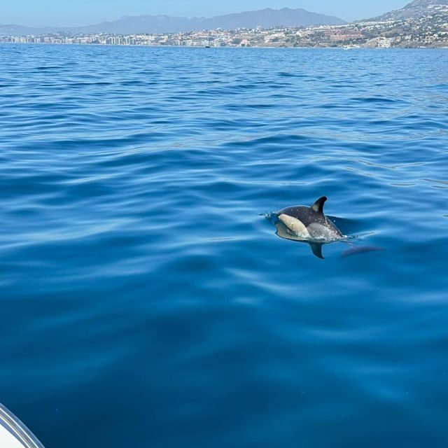Benalmadena: Boat Rental in Malaga for hours - An In-Depth Look at the Experience