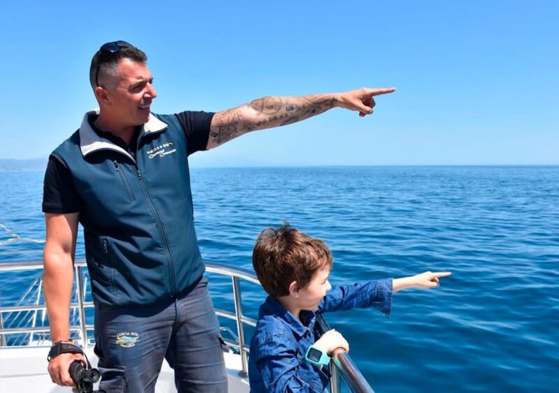 Benalmadena: Dolphin Watching Boat Tour - Key Points