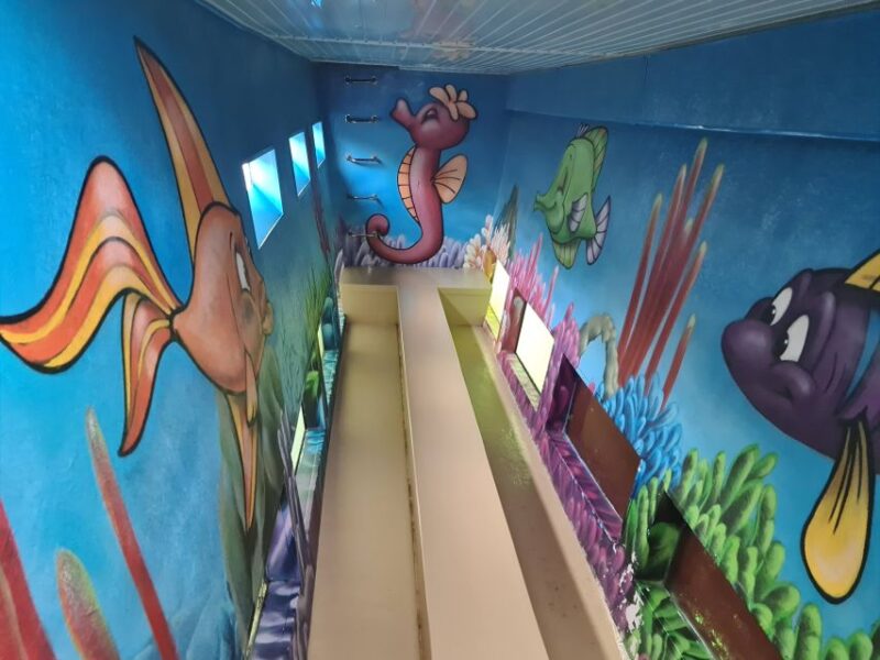 Benalmadena: Dolphin Watching Boat Tour - Frequently Asked Questions