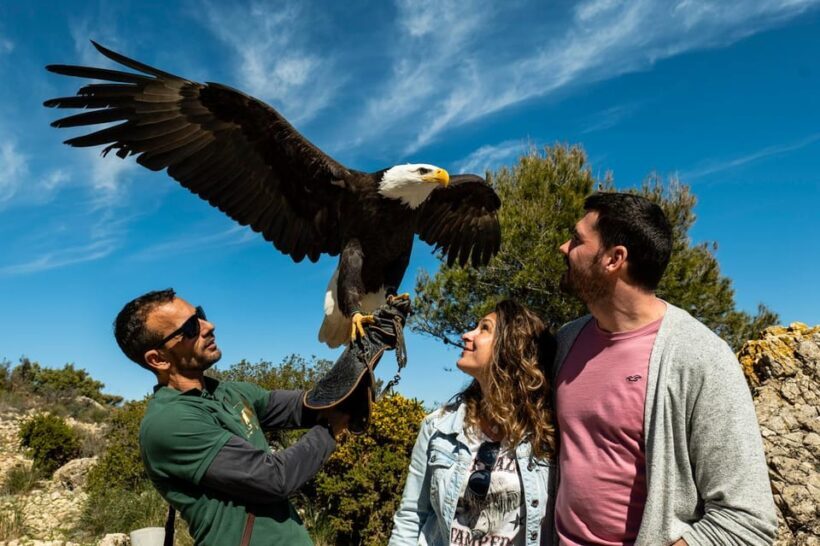 Benalmádena: Mount Calamorro Cable Car Ticket - Authentic Feedback from Travelers