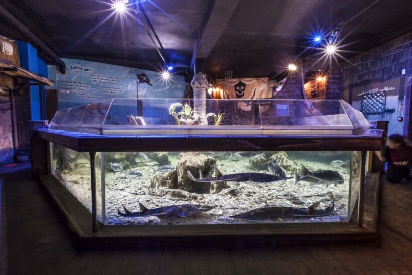 Benalmádena: Sea Life Benalmádena Premium Entry Ticket - Frequently Asked Questions