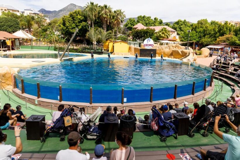 Benalmadena: Selwo Marina Admission Ticket - The Highlights: Animal Encounters and Educational Shows