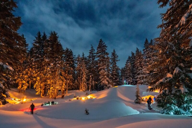 Bend: Cascade Mountains Snowshoeing Tour and Bonfire - Key Points