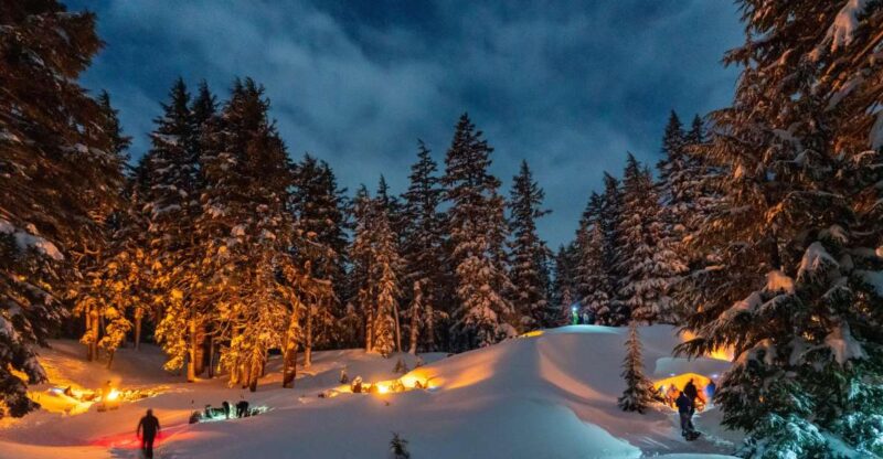 Bend: Cascade Mountains Snowshoeing Tour and Bonfire - The Itinerary in Detail