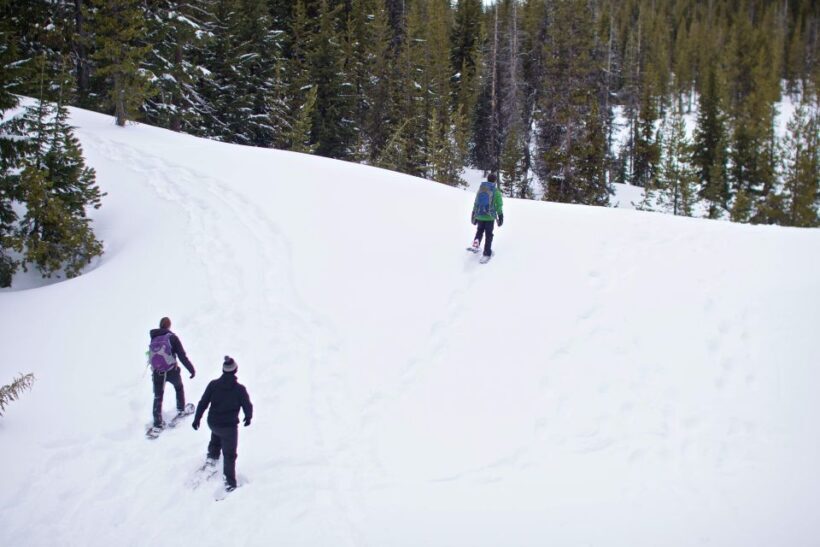 Bend: Half-Day Shoes, Brews, and Views Tour - An Overview of the Experience