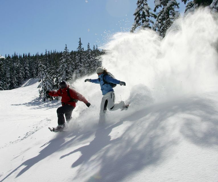 Bend: Half-Day Snowshoe Tour in the Cascade Mountain Range - What You Can Expect on the Tour