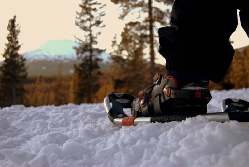 Bend: Half-Day Snowshoe Tour in the Cascade Mountain Range - The Value of the Tour