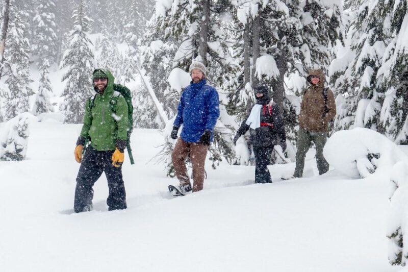 Bend: Half-Day Snowshoe Tour in the Cascade Mountain Range - The Sum Up: Who Should Consider This Tour?
