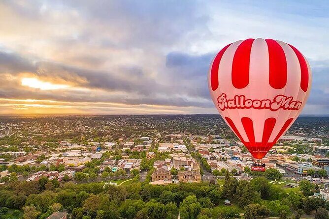 Bendigo Premium Balloon Flight plus buffet champagne breakfast - The Overview