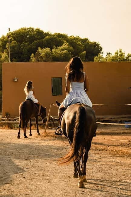Beneath the Baguio Pines: A Classic Horse Ride - Key Points