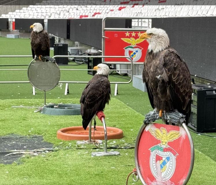 Benfica Stadium and Museum Tour - The Shopping and Souvenirs