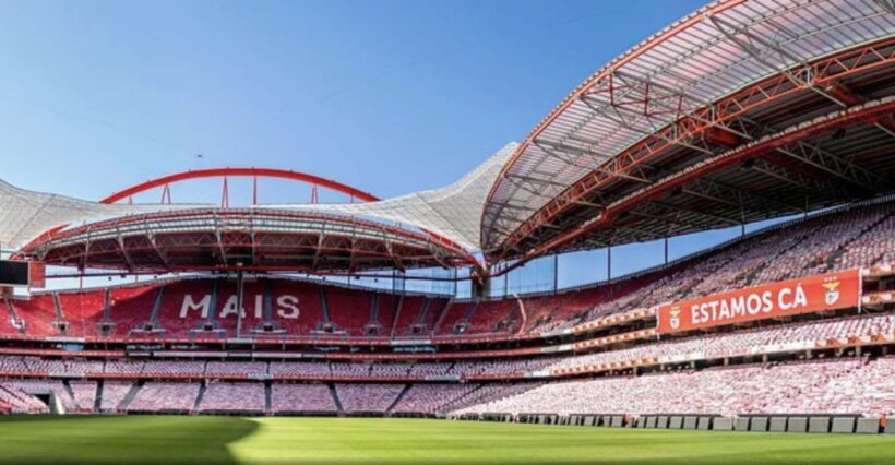 Benfica Stadium and Museum Tour - The Practical Side: Logistics and Value