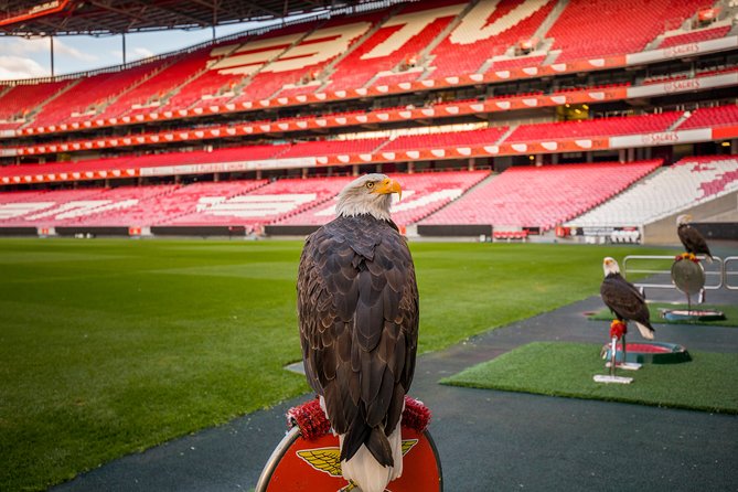 Benfica Stadium Tour and Museum Entrance Ticket - Important Notes and Recommendations