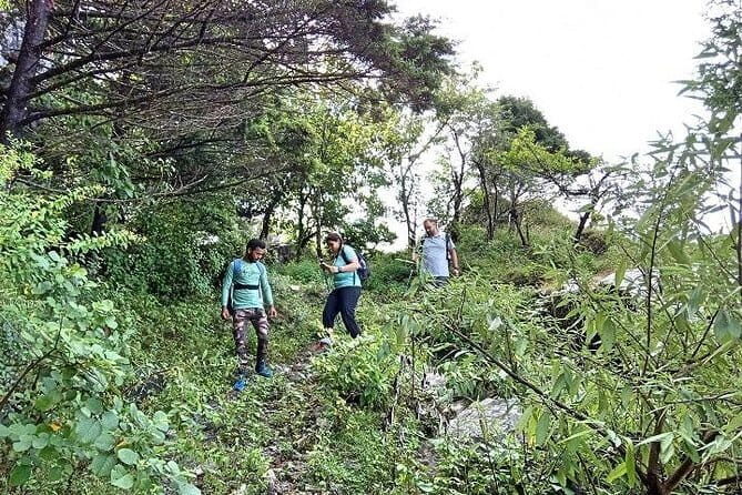 Benog Hill Trek - Authentic Reviews: What Others Are Saying