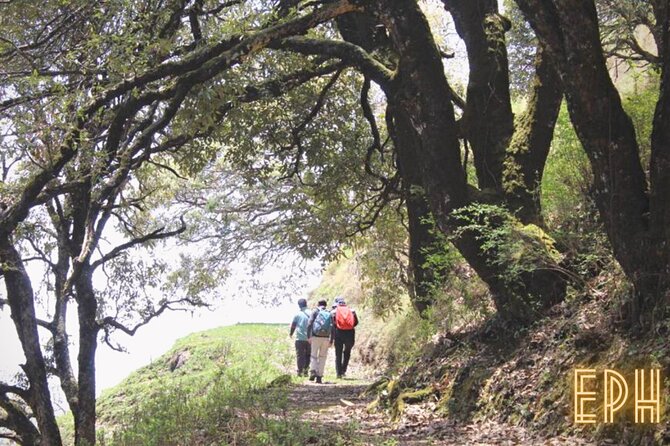 Benog Tibba Day Hike - Mussoorie - Authentic Insights from Travelers