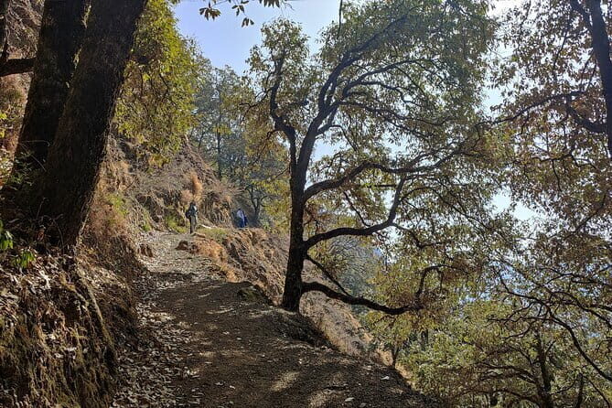 Benog Trek into the Wild - Who Should Consider This Trek?