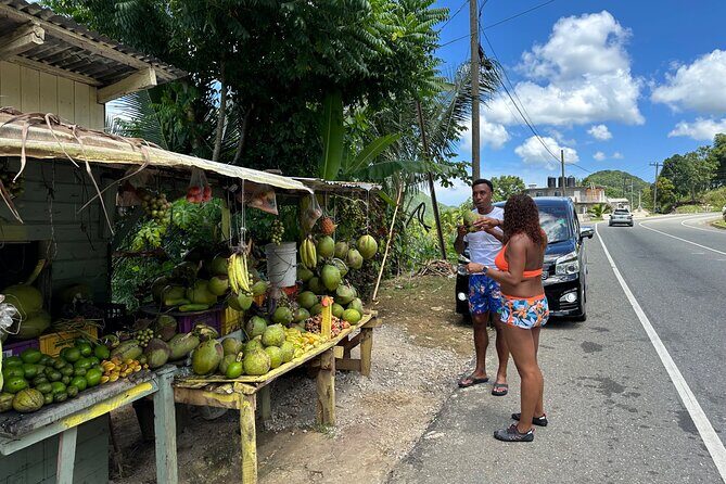 Benta River & Falls Private Tour From Montego Bay - An In-Depth Look at the Benta River & Falls Tour