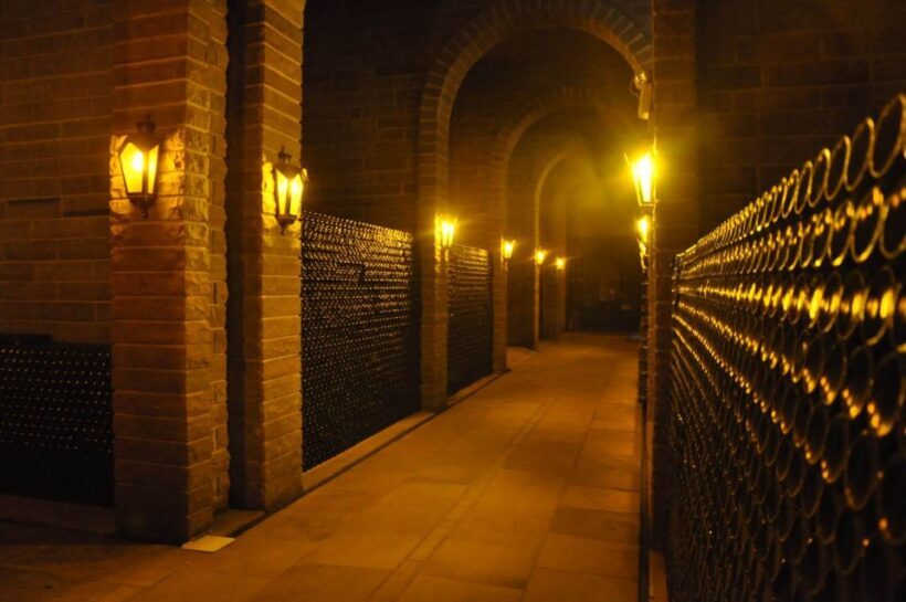 Bento: DayTour Privado Vale Vinhedos saindo de Porto Alegre - Key Points