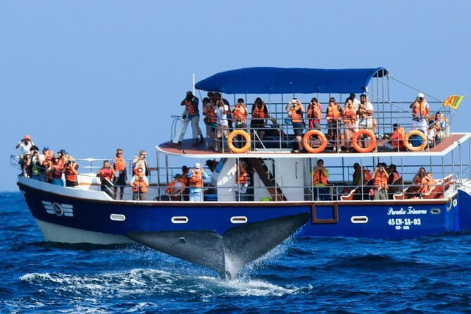 Bentota and galle sightseeing tour - FAQ