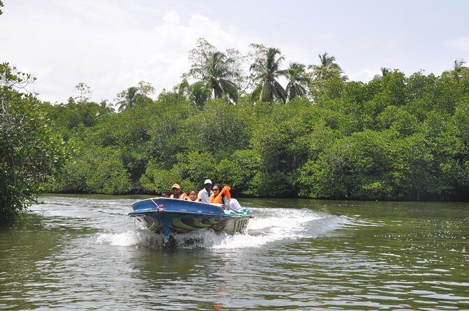 Bentota City Tour - A Deep Dive into the Bentota City Tour