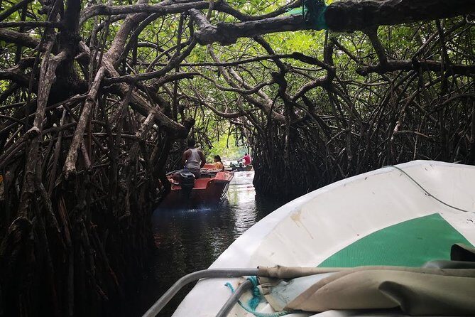 Bentota City Tour from Colombo Seaport - Exploring Sri Lanka’s South Coast: A Detailed Review of the Bentota City Tour from Colombo Seaport