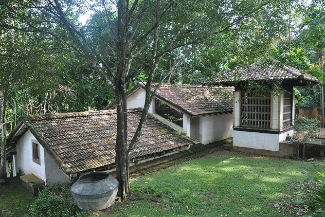 Bentota City Tour from Colombo Seaport - Final Thoughts